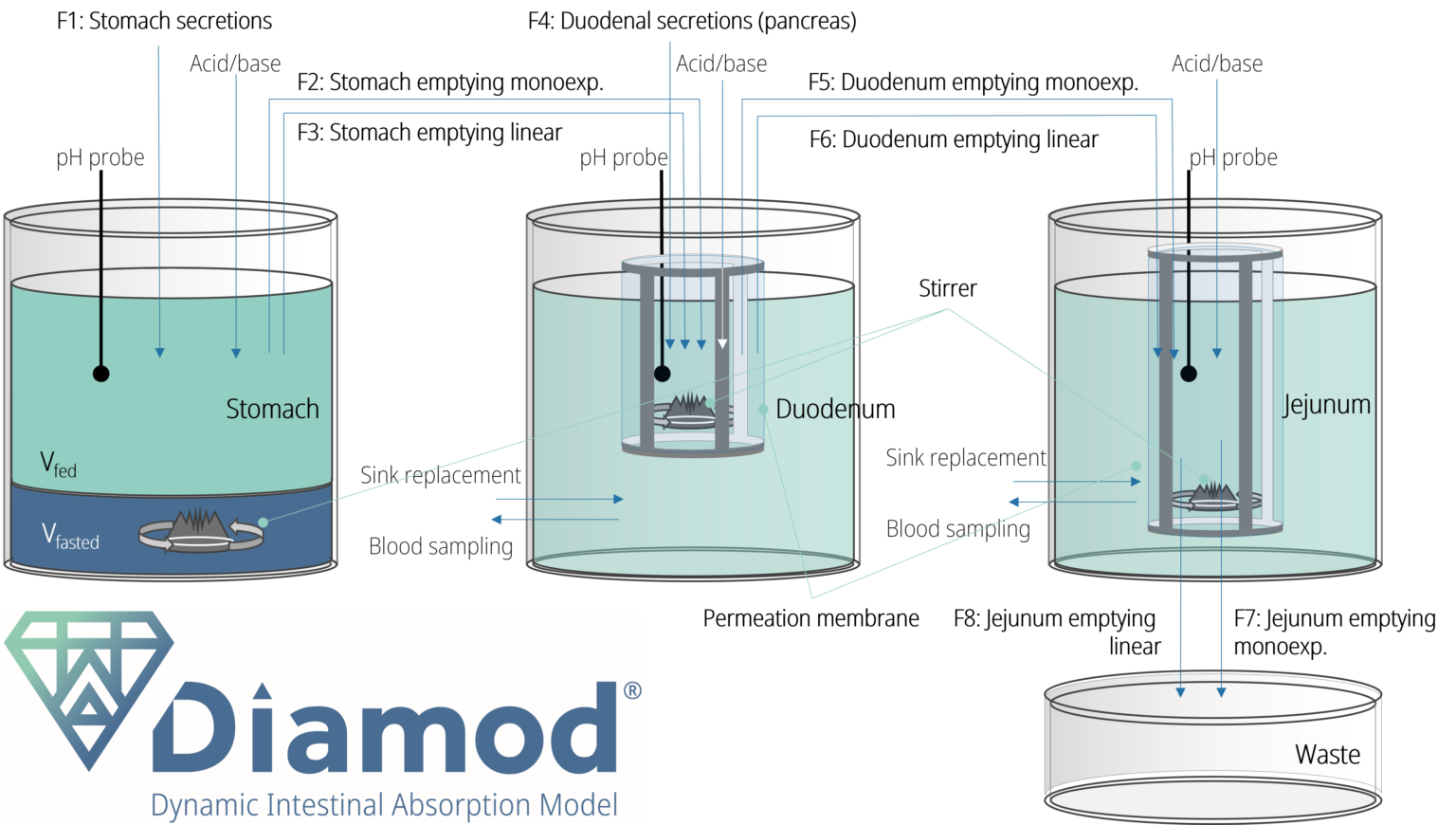 DIAMOD Project | ProDigest Gut Microbiome Research
