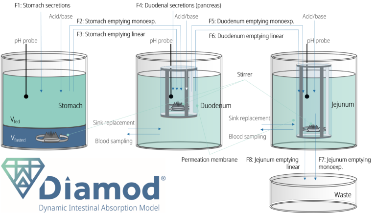 DIAMOD Project | ProDigest Gut Microbiome Research
